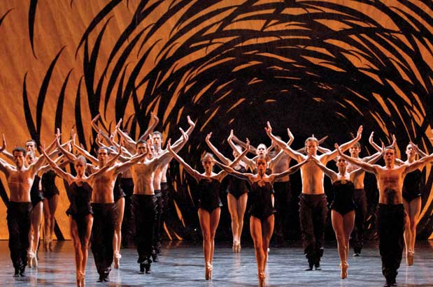 Swarm Welcome: Crystal Pite's Emergence at PNB - Seattle magazine