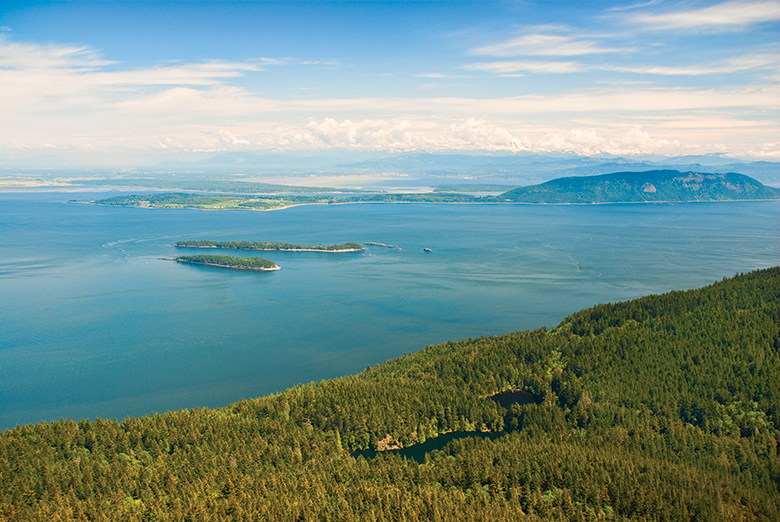 Experience the Splendor of Washington's Most Gorgeous Sights in 6 Days ...